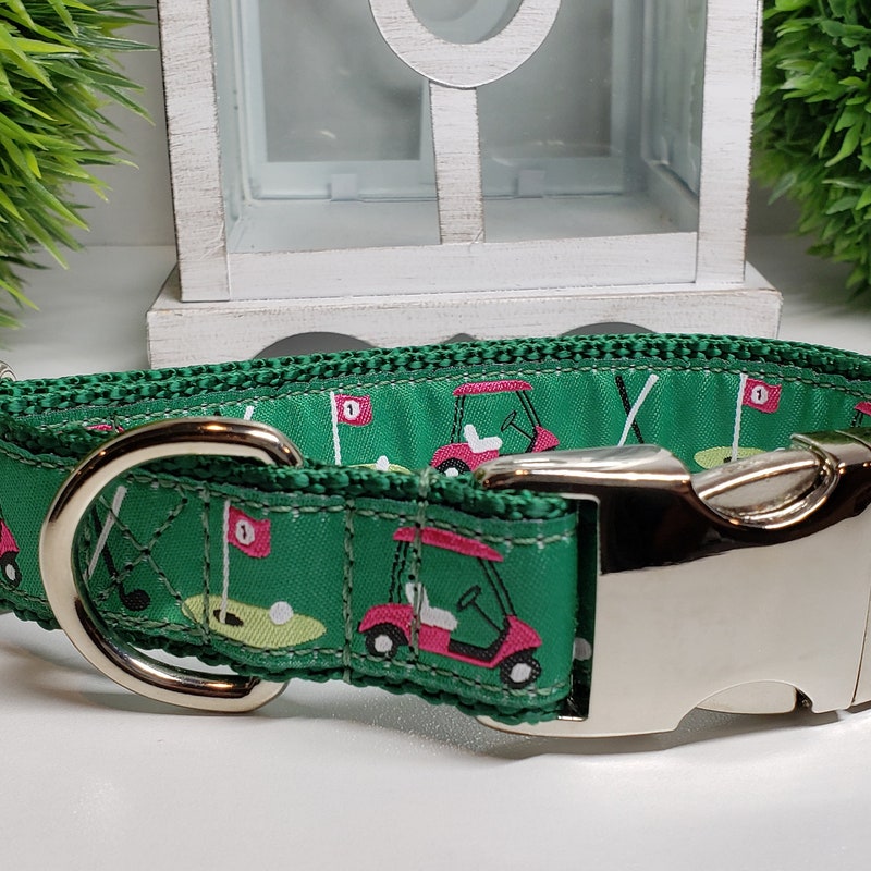 Fun Dog Collar - Etsy