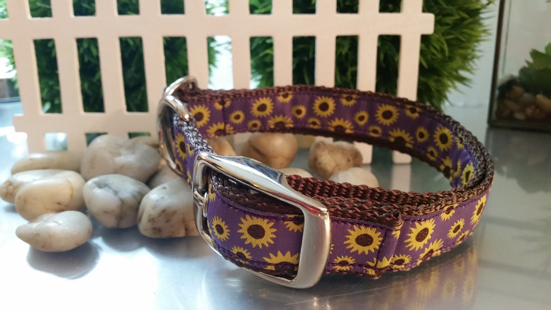 Sunflower Dog Collar, 1 Inch Wide Dog Collar, Sunflowers, Sunflower Dog ...