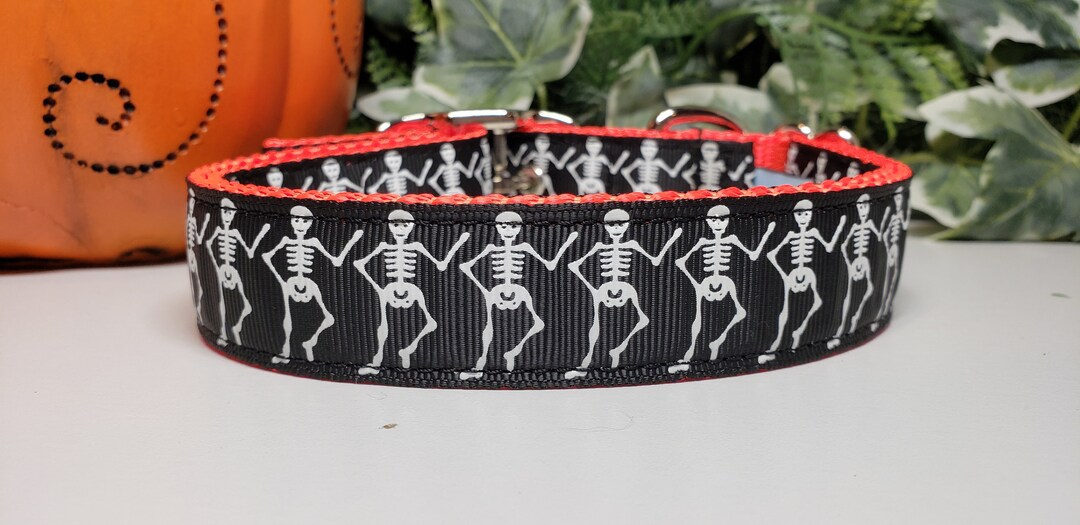 Glow in the Dark Skeleton Dog Collar - Halloween 1 Inch Wide - Etsy