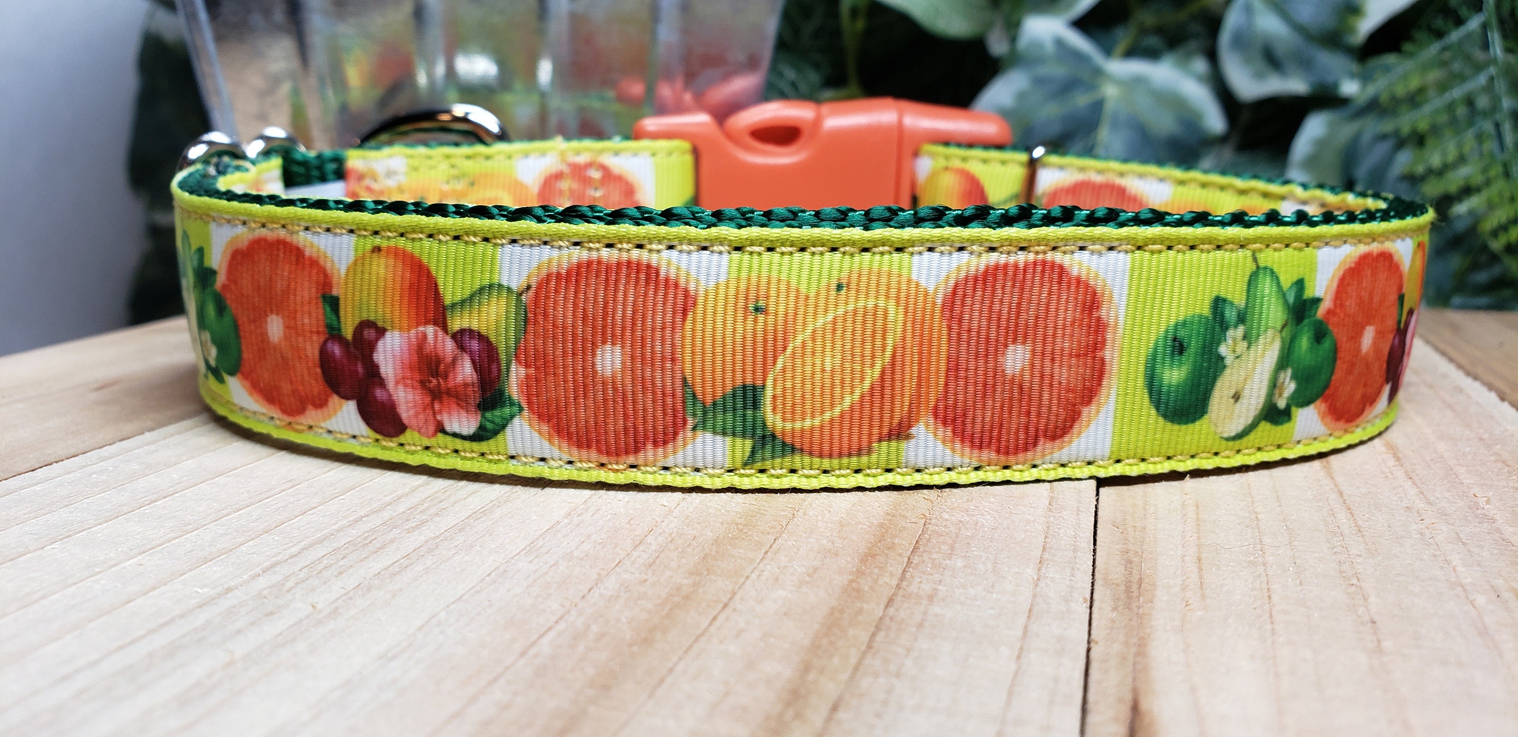 Dog Collar Citrus Dog Collar Fruit Dog Collar Fun Dog | Etsy