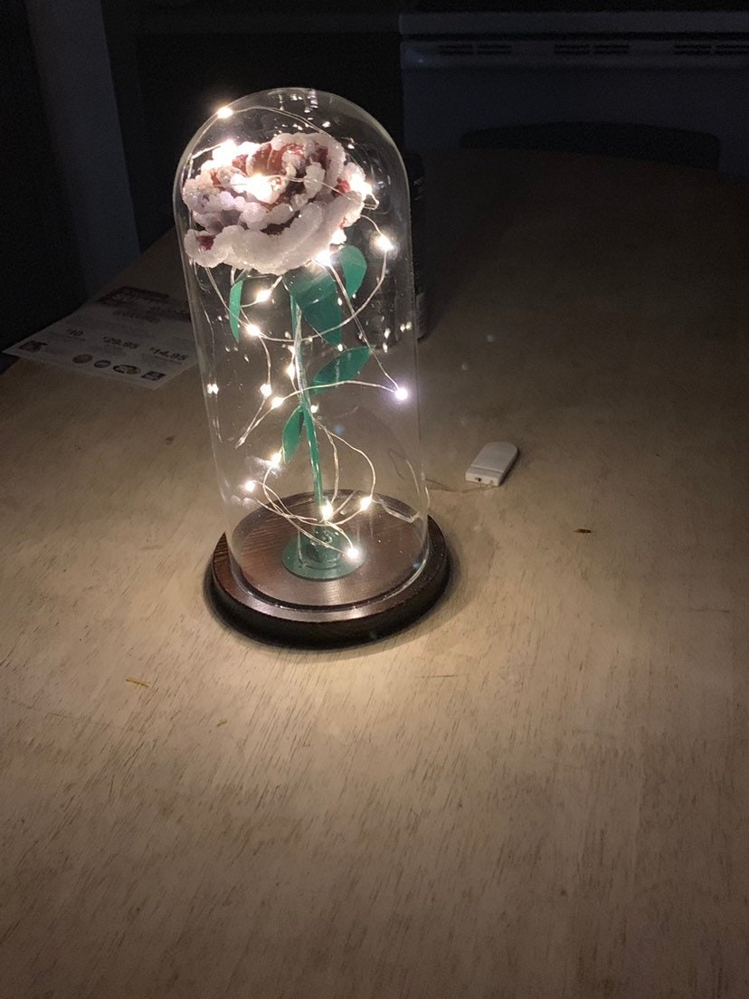 Forever rose in glass dome. | Etsy