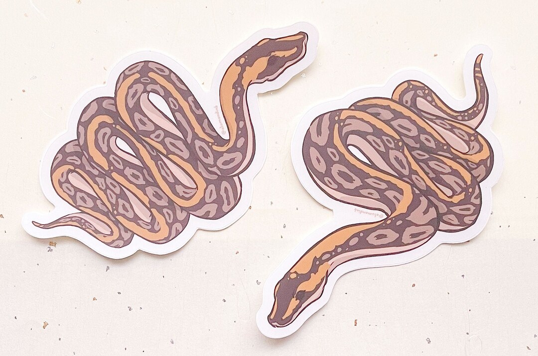 Royal Ball Pythons Clear Vinyl Sticker Set - Etsy