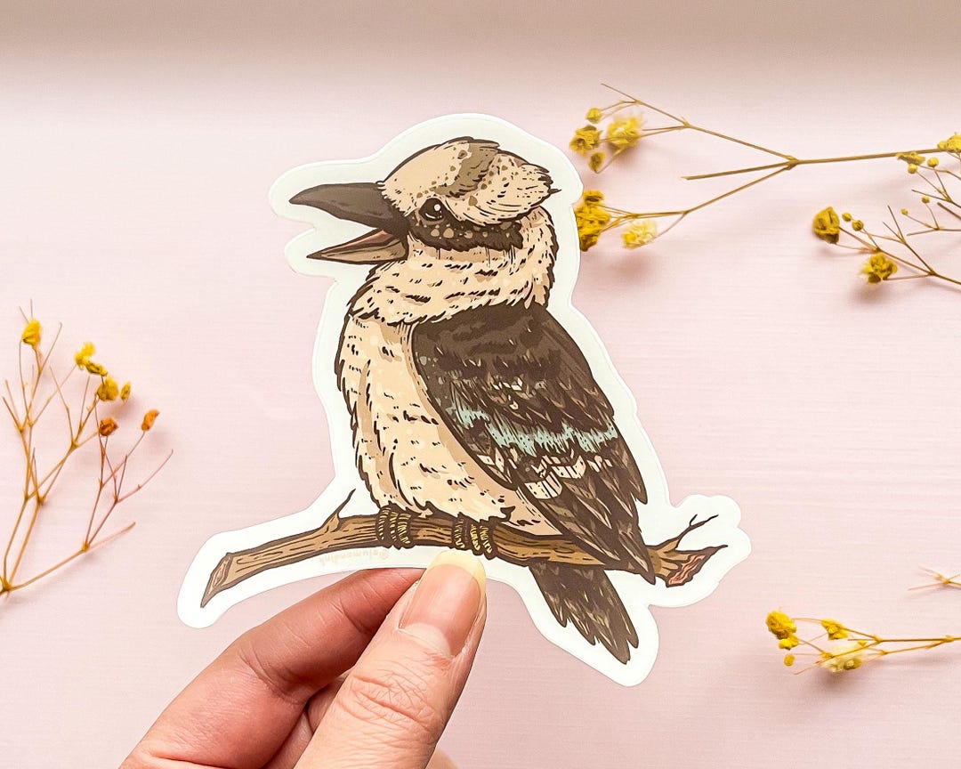 Kookaburra Clear Vinyl Sticker - Etsy