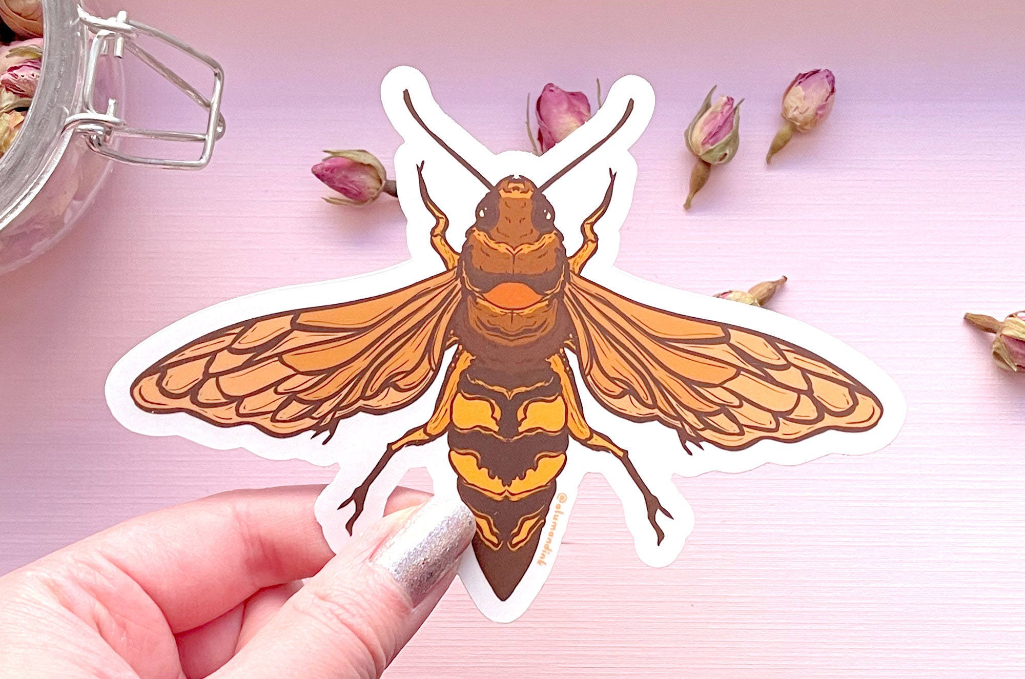 Cicada Hawk Wasp Clear Vinyl Sticker - Etsy