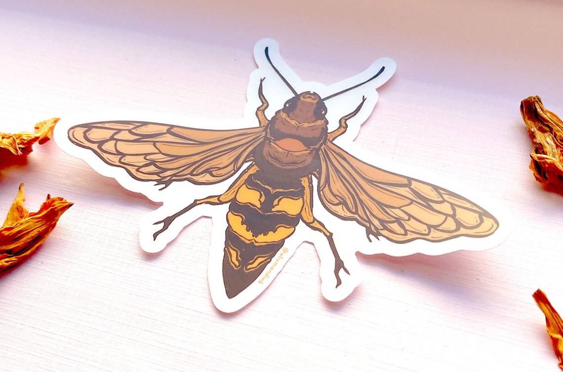Cicada Hawk Wasp Clear Vinyl Sticker - Etsy