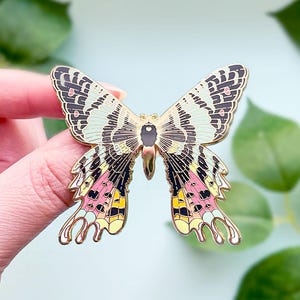 Madagascan Sunset Moth Enamel Pin - Etsy