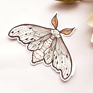 Poodle Moth (domestic Silk Moth) Clear Vinyl Sticker - Etsy
