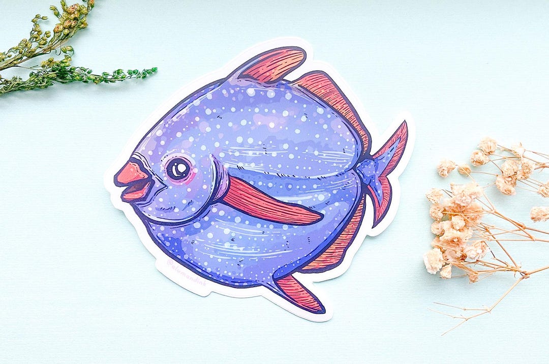 Opah Fish Clear Vinyl Sticker - Etsy