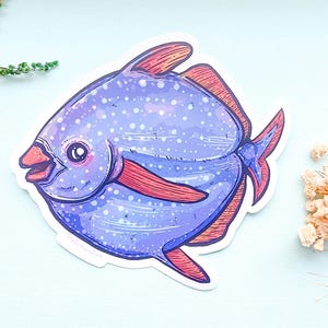 Opah Fish Clear Vinyl Sticker - Etsy