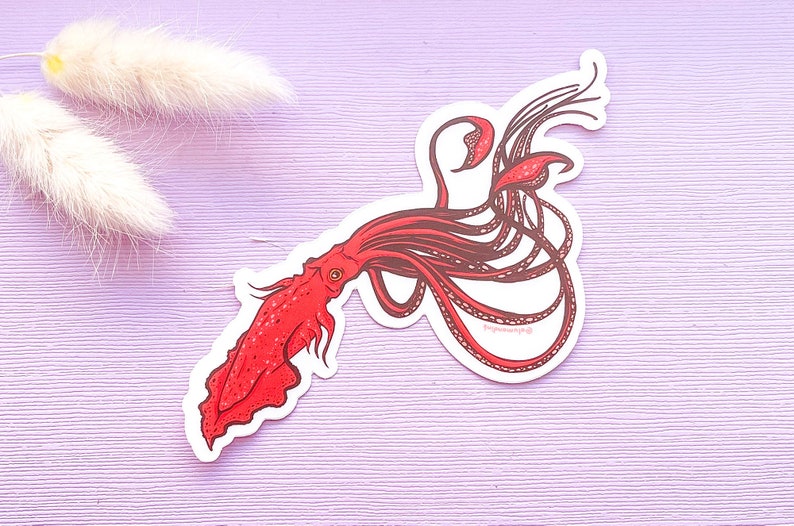 Giant Squid Clear Vinyl Sticker - Etsy