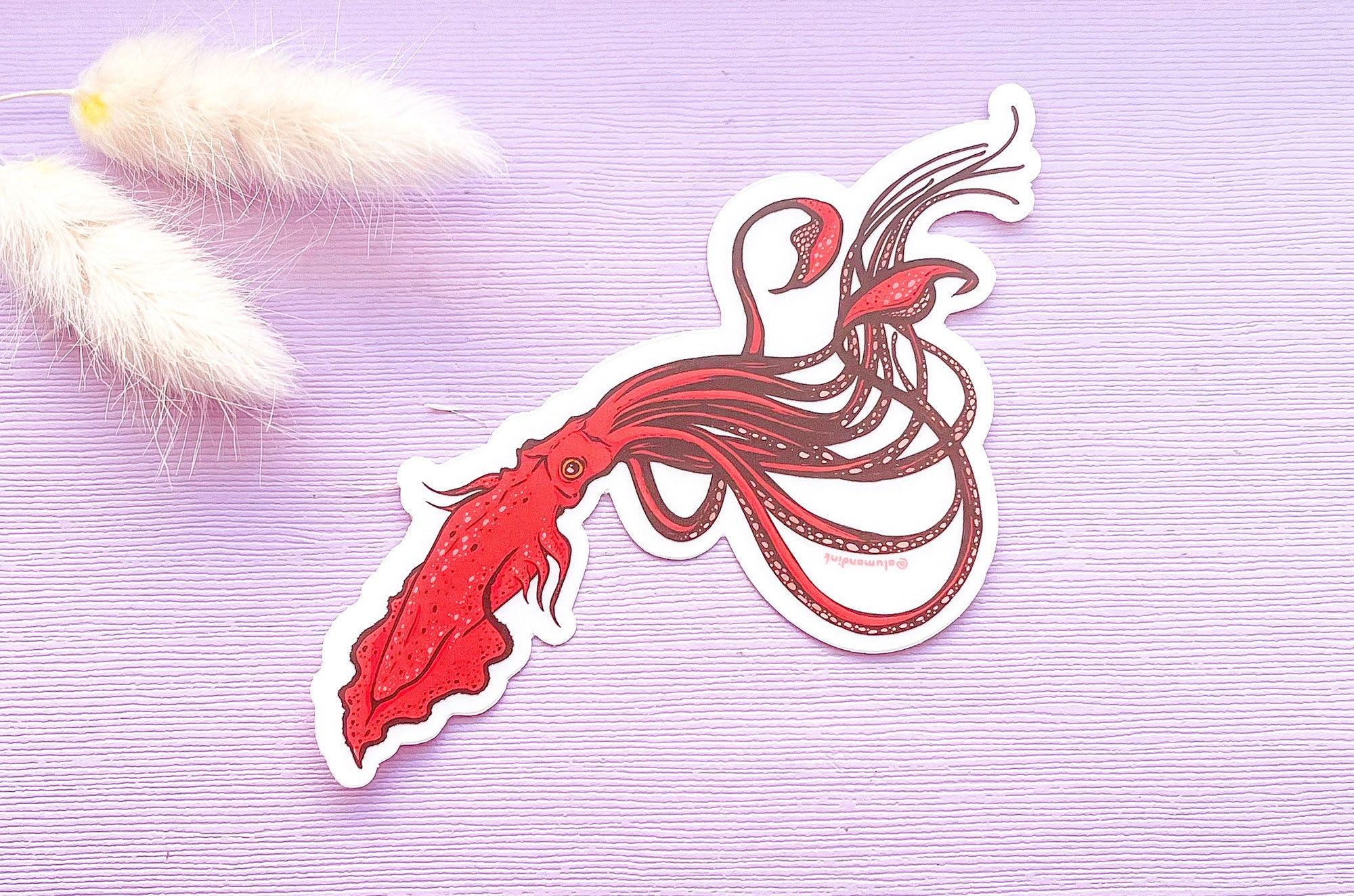 Giant Squid Clear Vinyl Sticker - Etsy