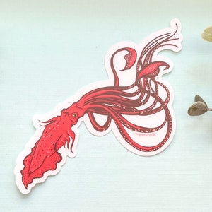 Giant Squid Clear Vinyl Sticker - Etsy