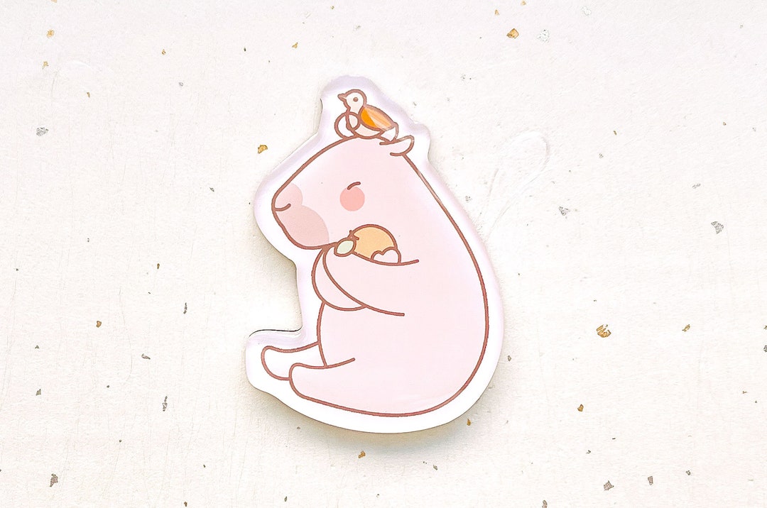 Curly the Capybara Hugging Orange Acrylic Magnet - Etsy