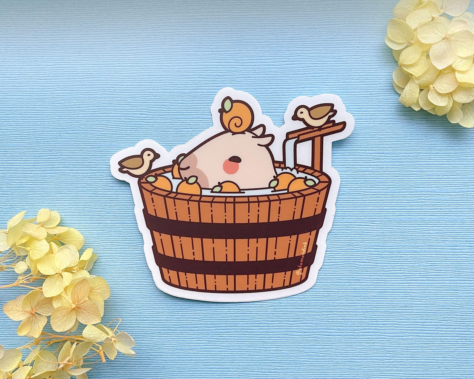 Curly the Capybara Lounging in a Wooden Bucket Clear Vinyl Sticker - Etsy
