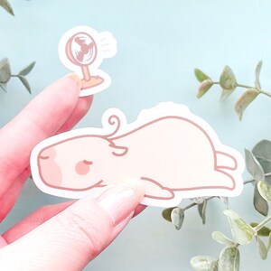 Curly the Capybara Lying Down on a Hot Day Clear Vinyl Sticker Set - Etsy