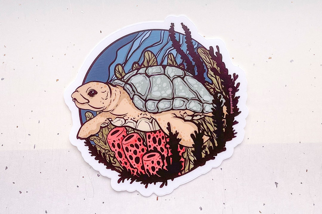 Sea Turtle Clear Vinyl Sticker - Etsy