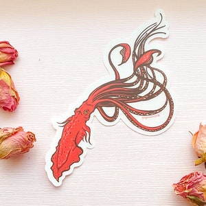 Giant Squid Clear Vinyl Sticker - Etsy