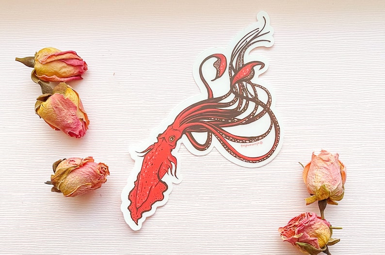 Giant Squid Clear Vinyl Sticker - Etsy