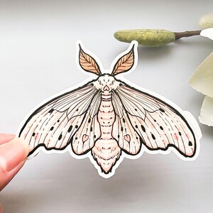 Poodle Moth (domestic Silk Moth) Clear Vinyl Sticker - Etsy