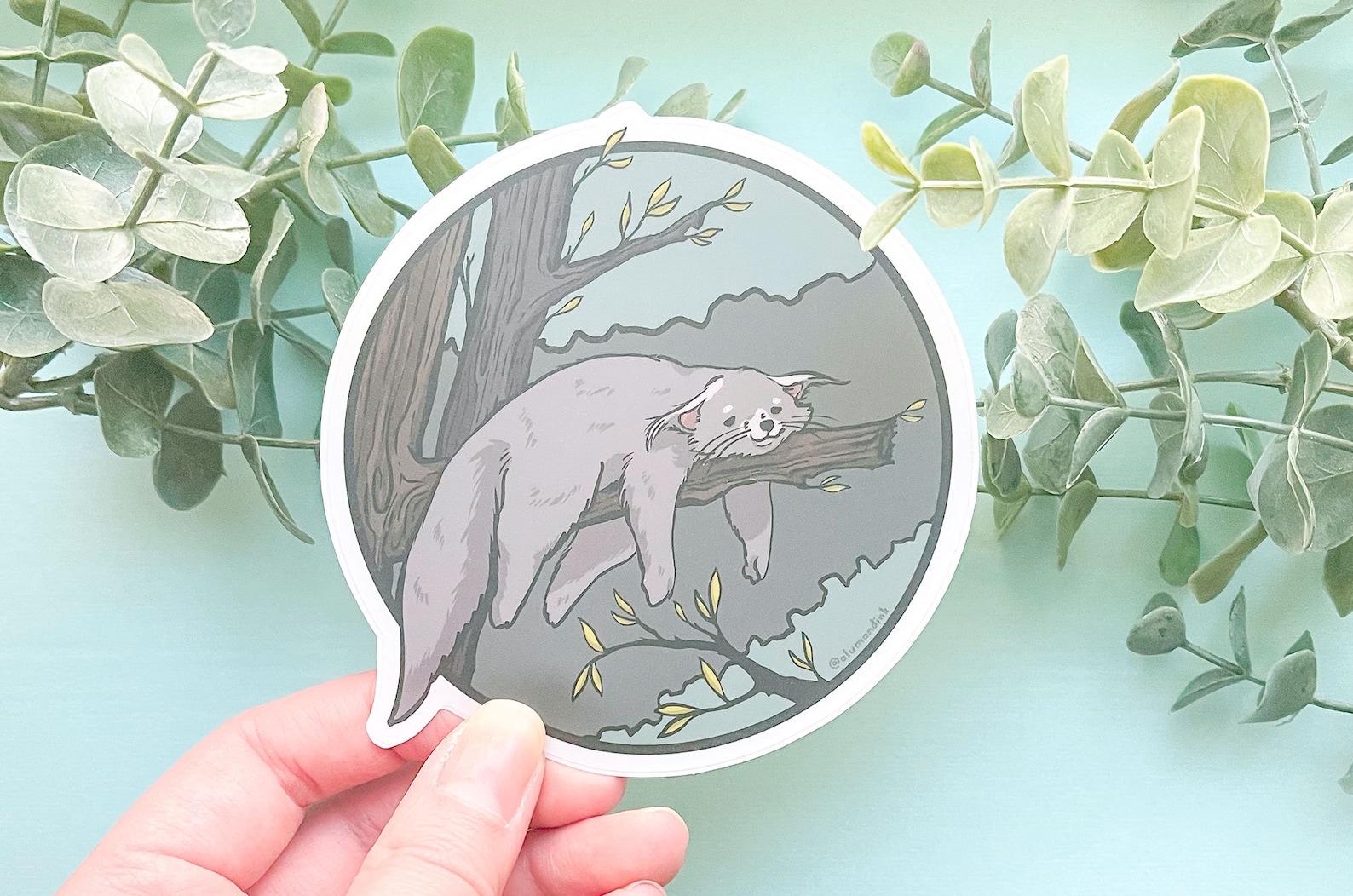 Sleeping Binturong Clear Vinyl Sticker - Etsy