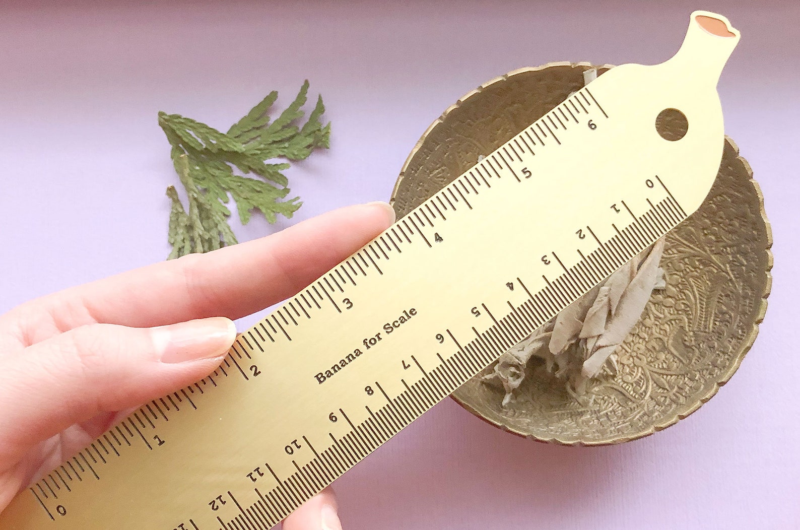 Gold Banana for Scale Ruler - Etsy