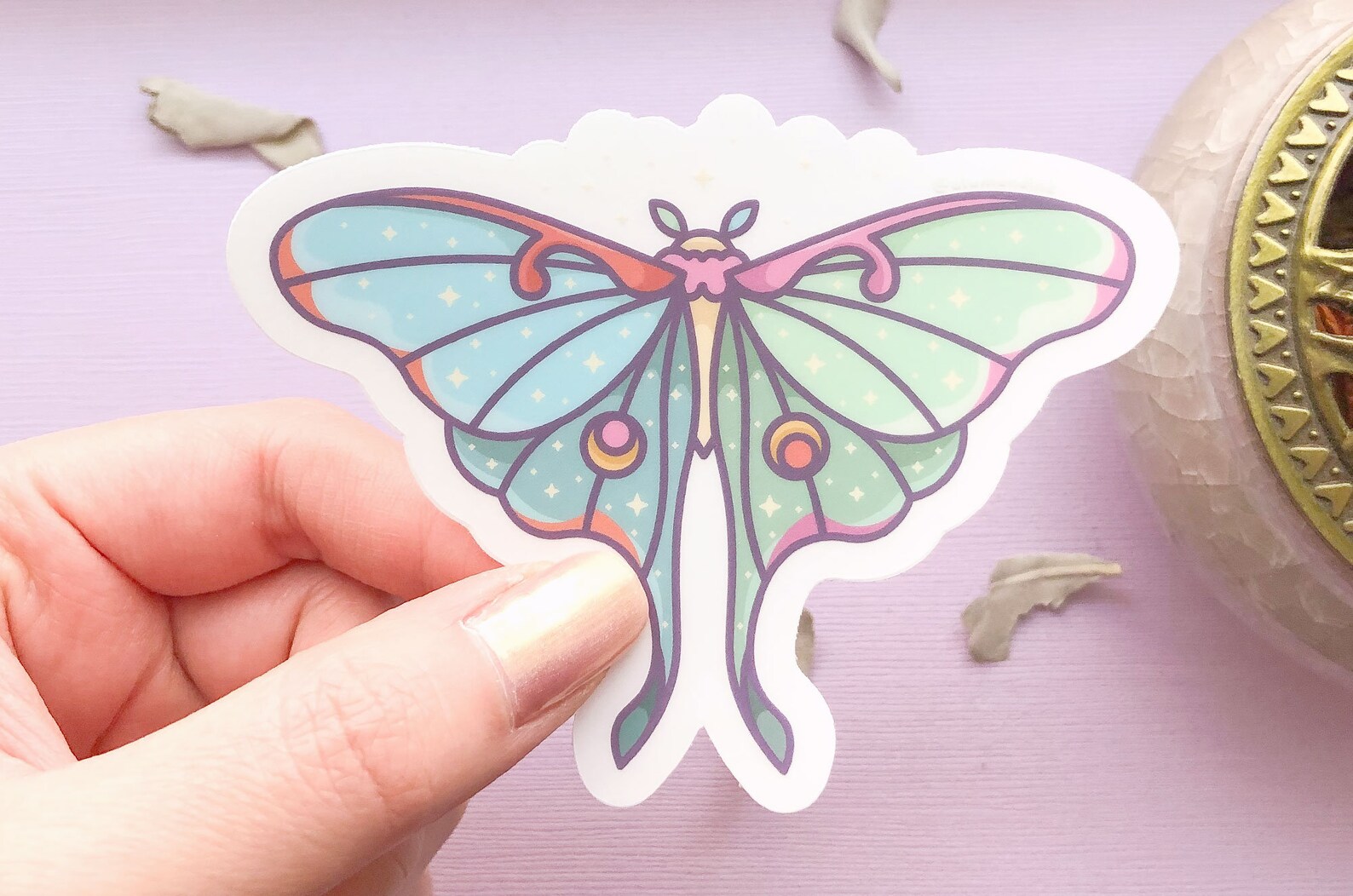 Moon Moth Clear Vinyl Sticker | Etsy