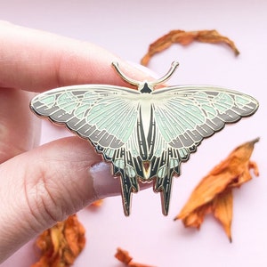 Glassy Bluebottle Butterfly Enamel Pin - Etsy