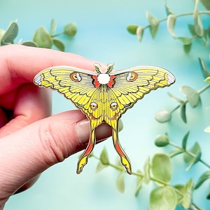 Madagascan Moon Comet Moth Enamel Pin - Etsy