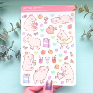 Curly the Capybara Books and Leaves Clear Vinyl Sticker Sheet - Etsy