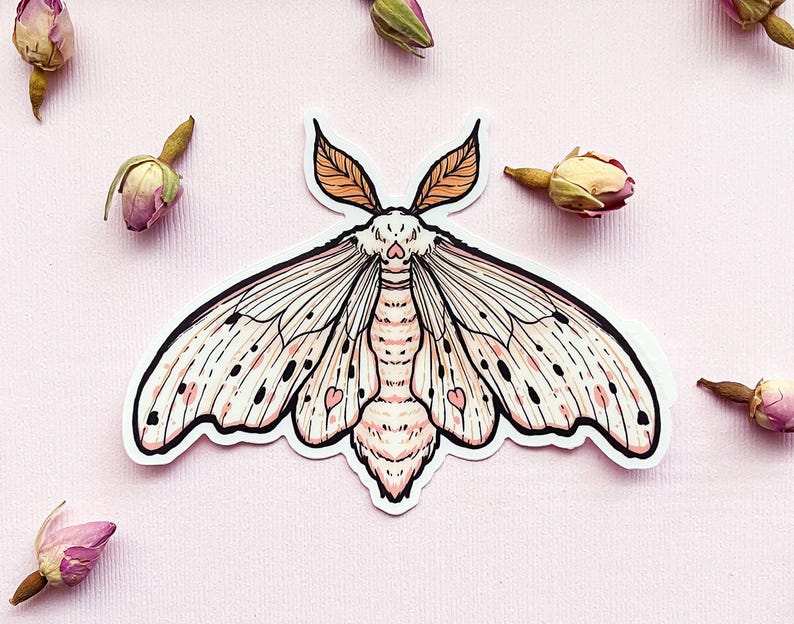 Poodle Moth (domestic Silk Moth) Clear Vinyl Sticker - Etsy