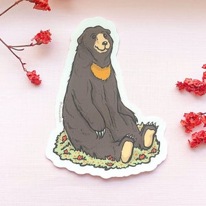 Sitting Sun Bear Clear Vinyl Sticker - Etsy