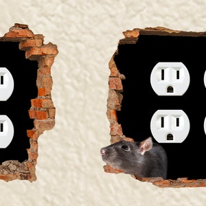 Scary Mouse Hole in the Wall Plate Switch Paddle Electric Outlet Rocker ...