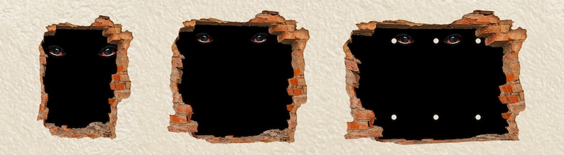 Scary Eyes Hole in the Wall Plate Switch Paddle Electric Outlet Rocker ...
