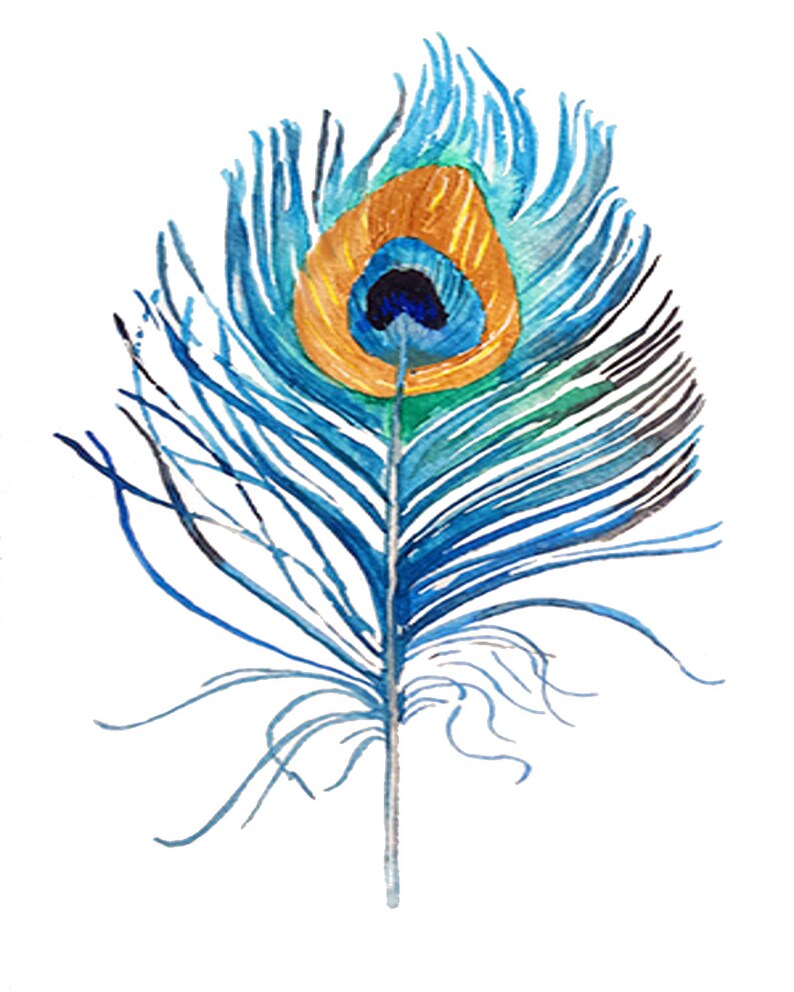 Peacock Feather Art Print, Instant Download, Peacock Wall Art ...