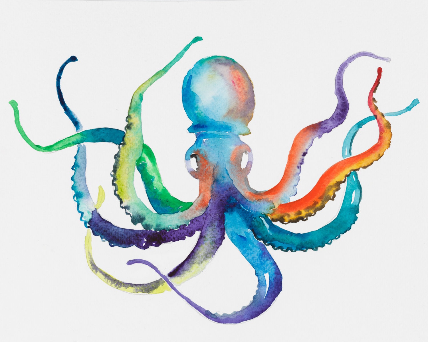 Watercolor Octopus Painting Decor Print Ocean Coastal Nautical Beach ...