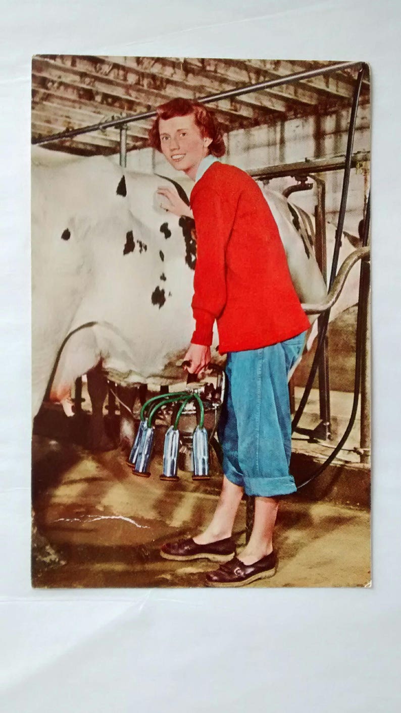Vintage Surge Dairy Farm Equipment Postcard Milk | Etsy Vintage Surge Dairy Farm Equipment Postcard Milk | Etsy