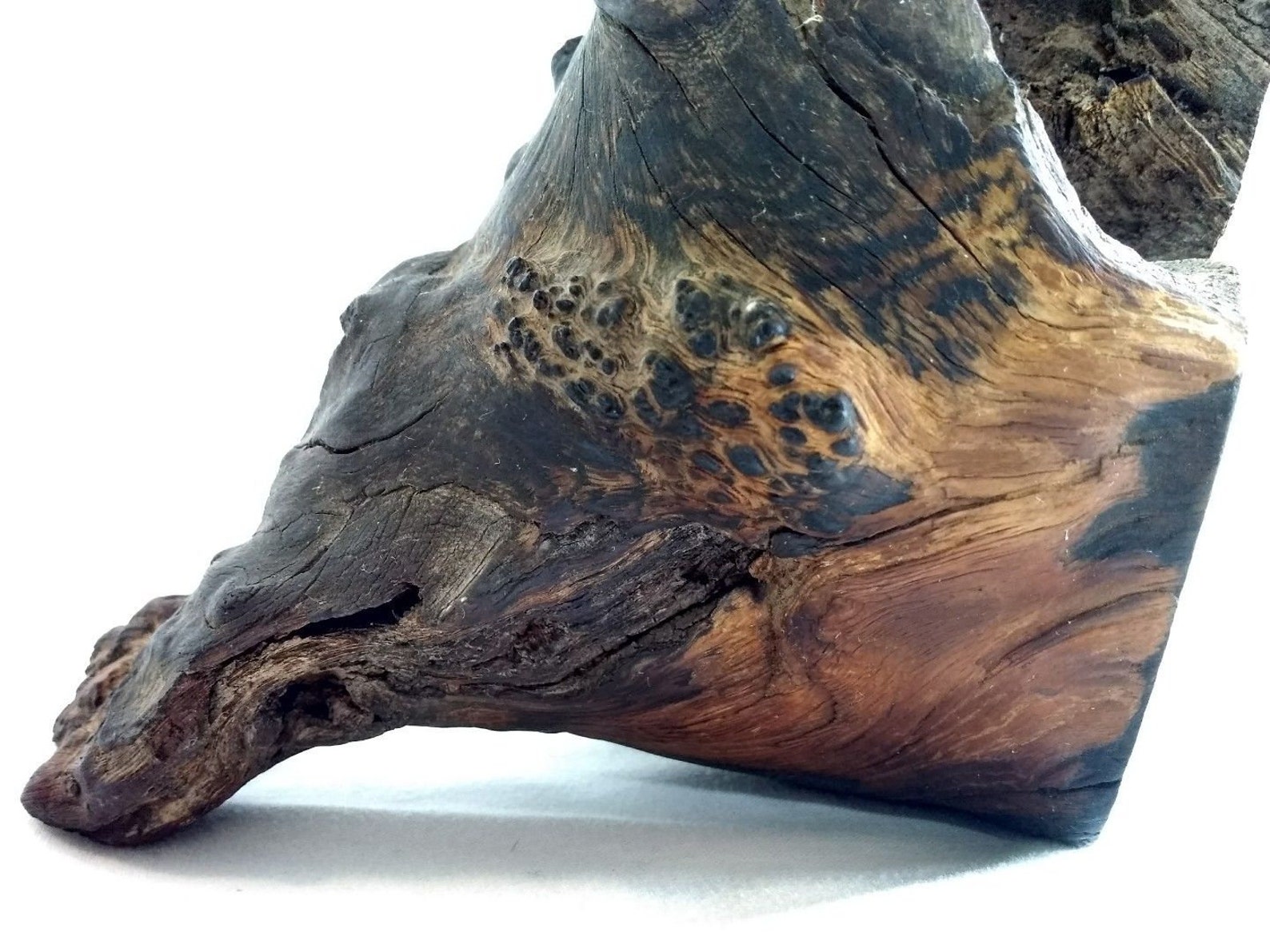 Dark Wood Burl Knot Woodworking Crafts Decor Vintage Old - Etsy