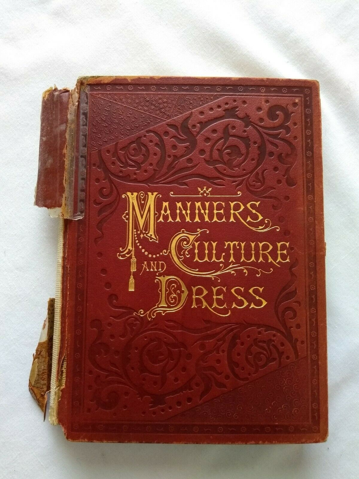Salesman Sample Victorian Book, Manners Culture and Dress, Richard A ...