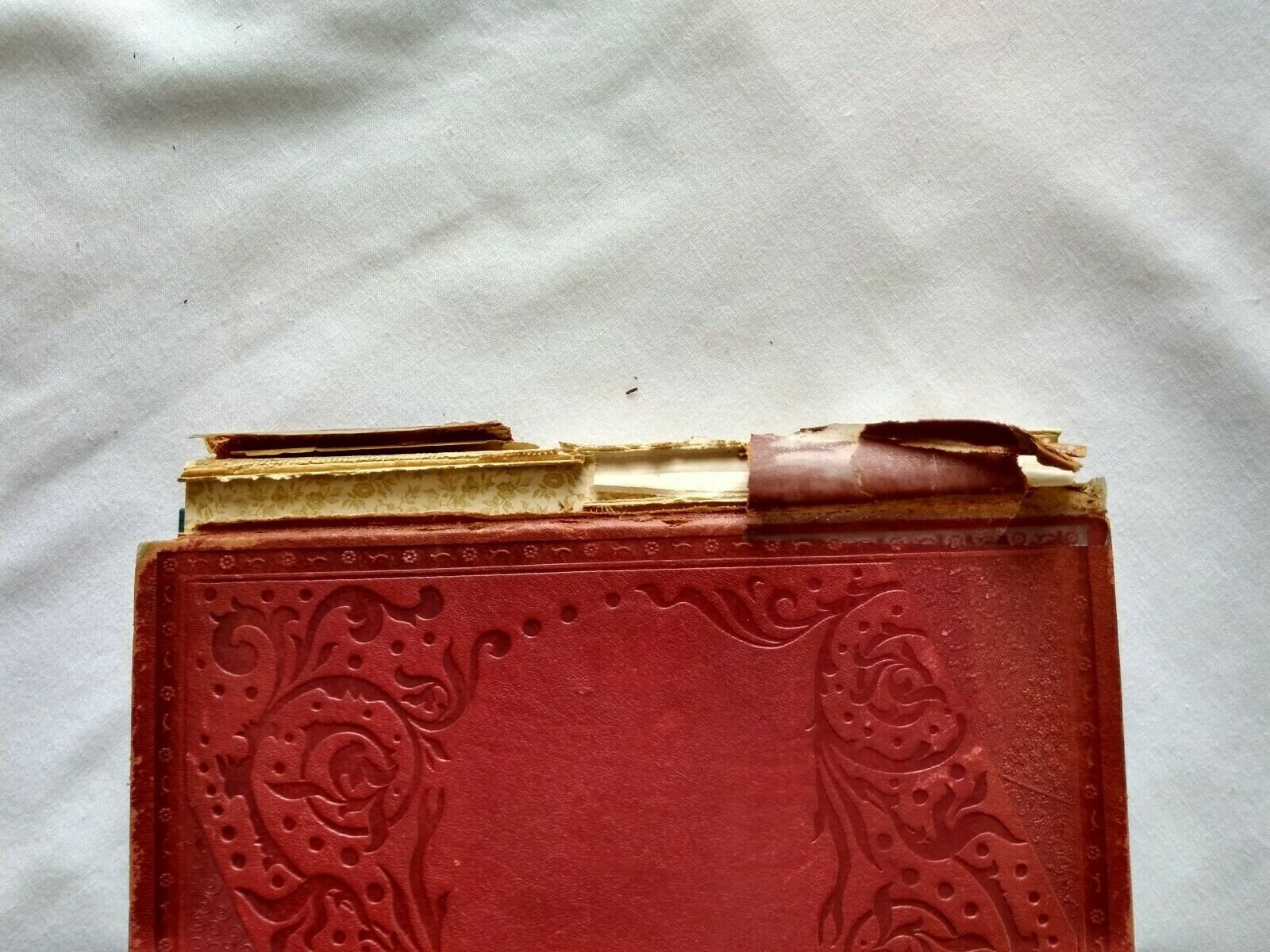 Salesman Sample Victorian Book, Manners Culture and Dress, Richard A ...