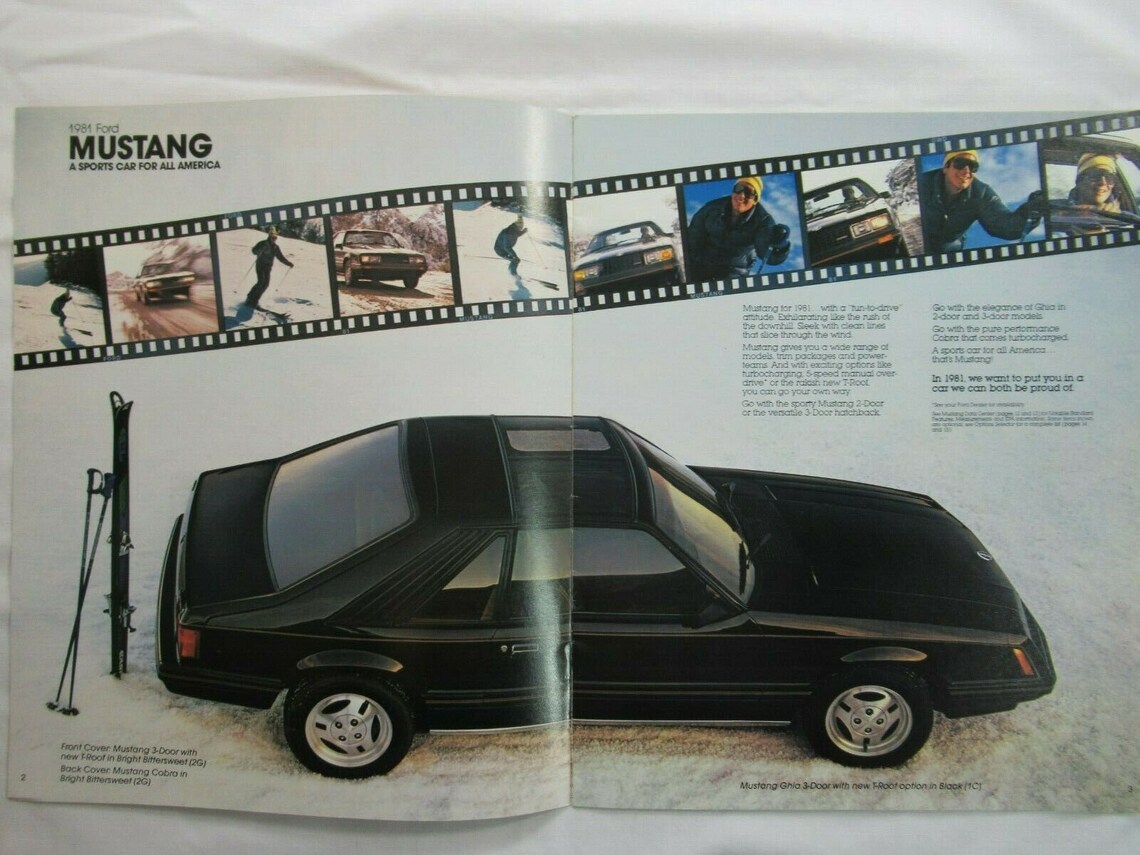1981 Ford Mustang Car Brochure Sales Advertising Dealer | Etsy