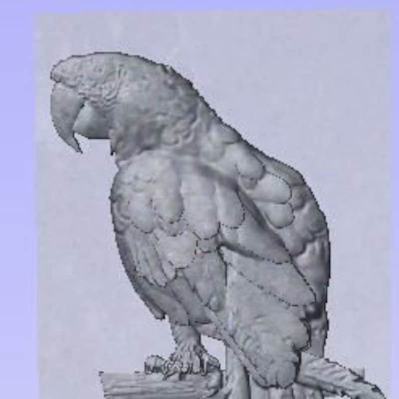 Blue Parrot Art - Etsy