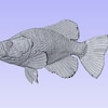 Walleye STL File, CNC Carving Model (digital Download) - Etsy