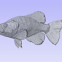 Walleye STL File, CNC Carving Model (digital Download) - Etsy