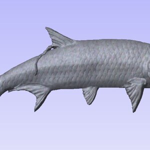Tarpon Fish 3D STL File for CNC Carving - Etsy