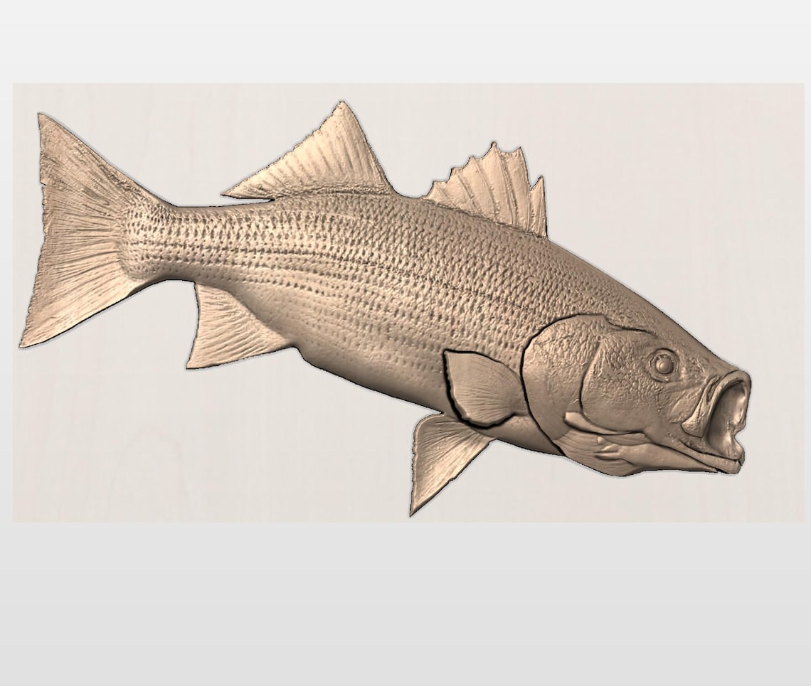 Striped Bass 3D STL Model for CNC Router - Etsy