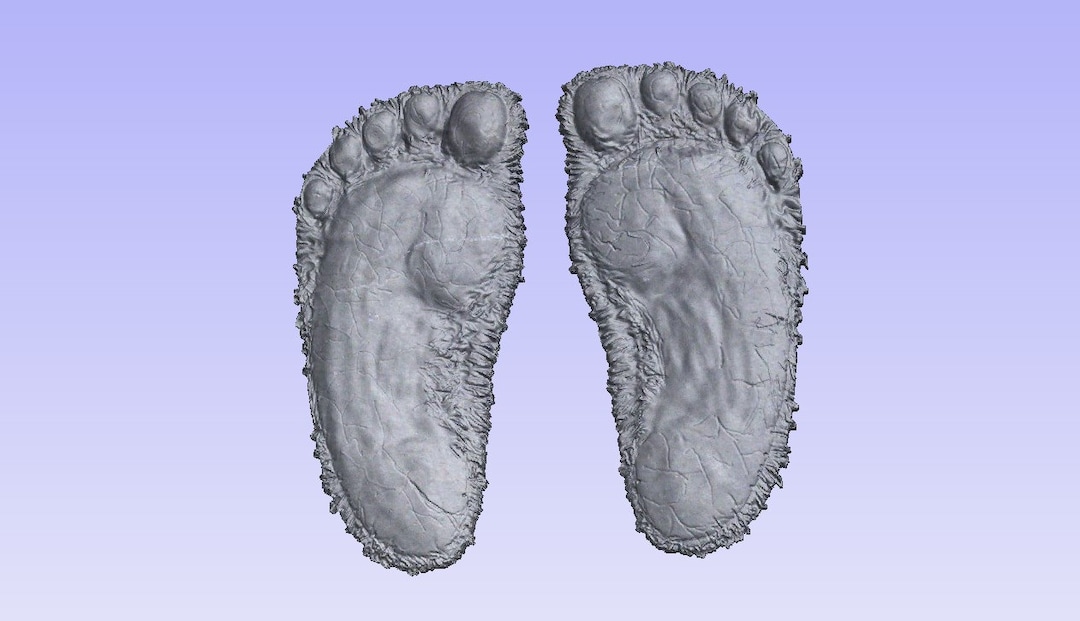 BIG Foot Tracks STL 3d File for Cnc, Sasquatch Tracks Stl - Etsy