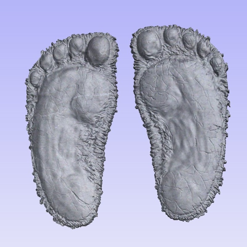 Big Foot Stl File 3d - Etsy