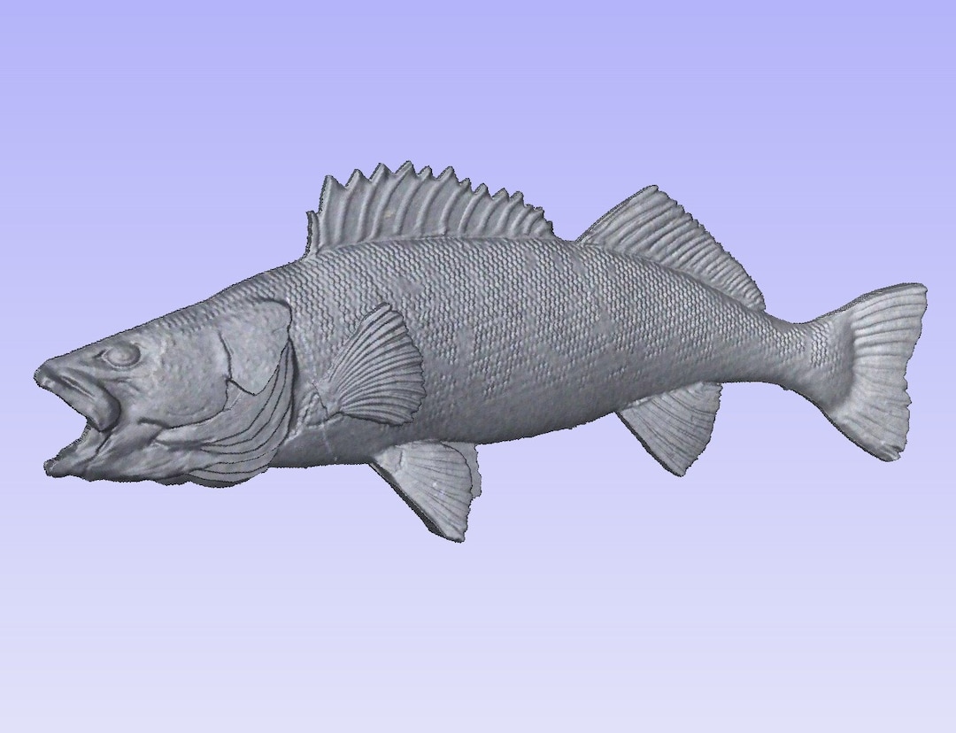 Walleye STL File, Walleye for Cnc, Digital Walleye, Walleye Fishing ...