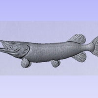 Redfish Red Drum Design | Svg Png Dxf Eps Pdf | Transparent Vector ...