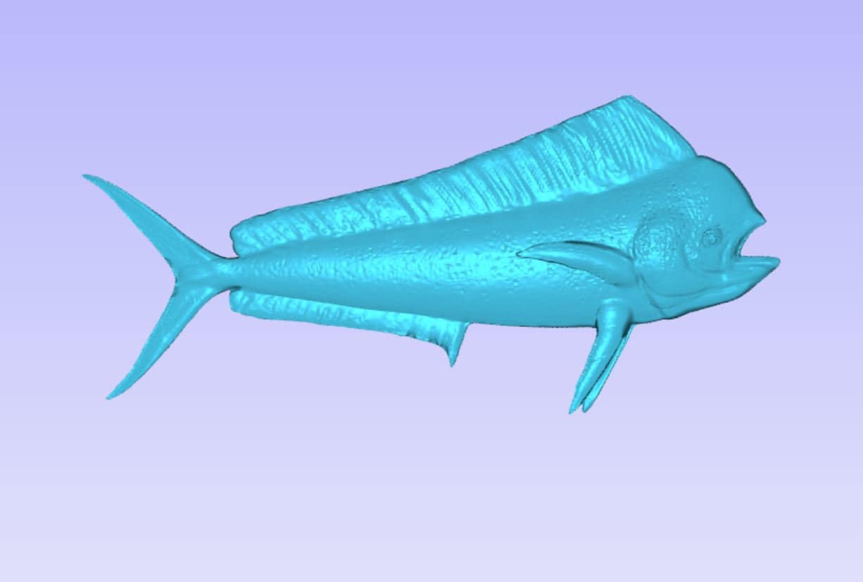Mahi Mahi 3D Model, Dolphin Fish STL File - Etsy